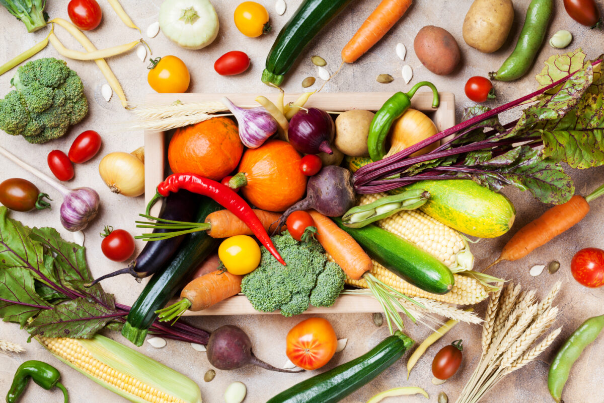 Top Fall Nutrition Tips for Keeping Families Healthy and Happy