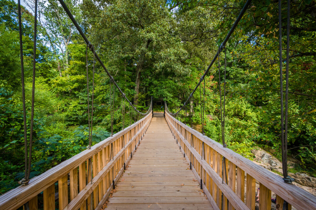 Top Summer Activities in Charlotte: Family Fun in the Queen City