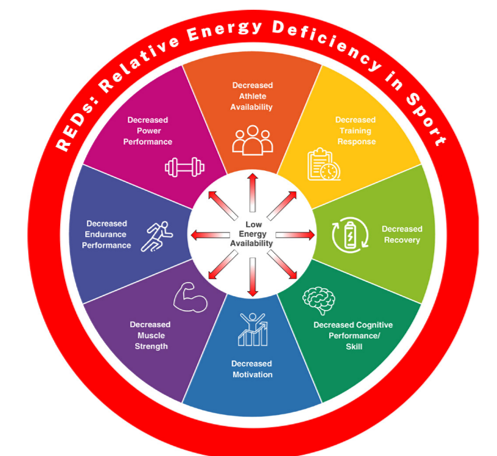 In the Red: How Energy Deficiency Impacts the Entire Body